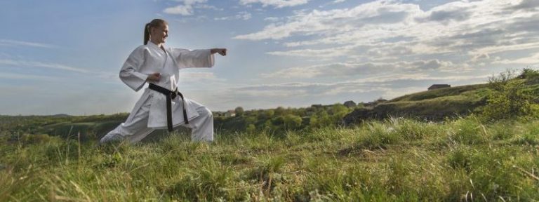 Mastering the Role of Integrator™ in an Organization